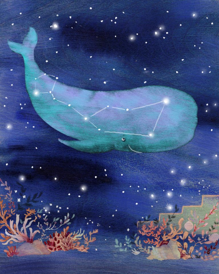 YoungJu Kim – Illustrator